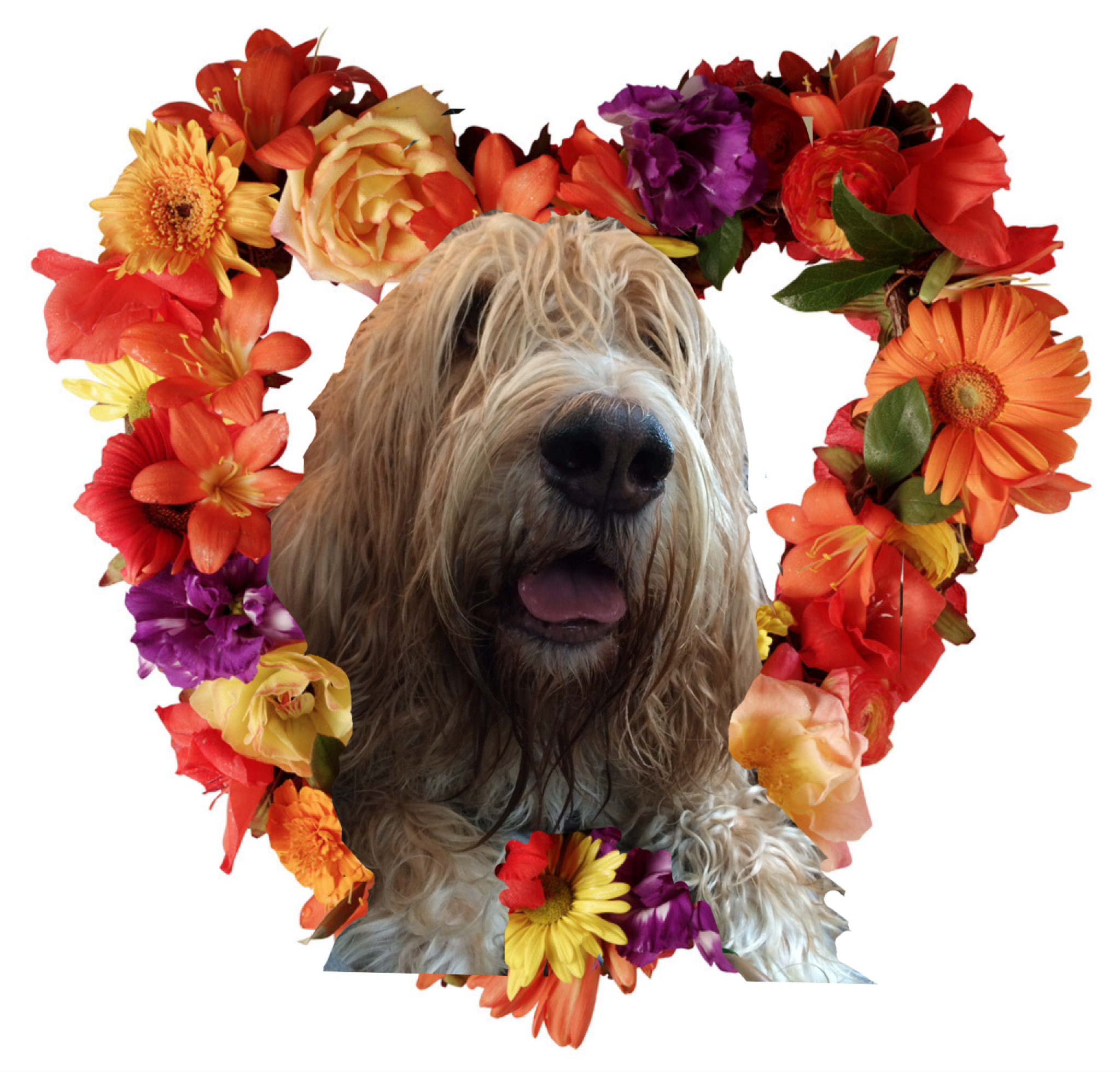 About That Dog – Be That Dog!