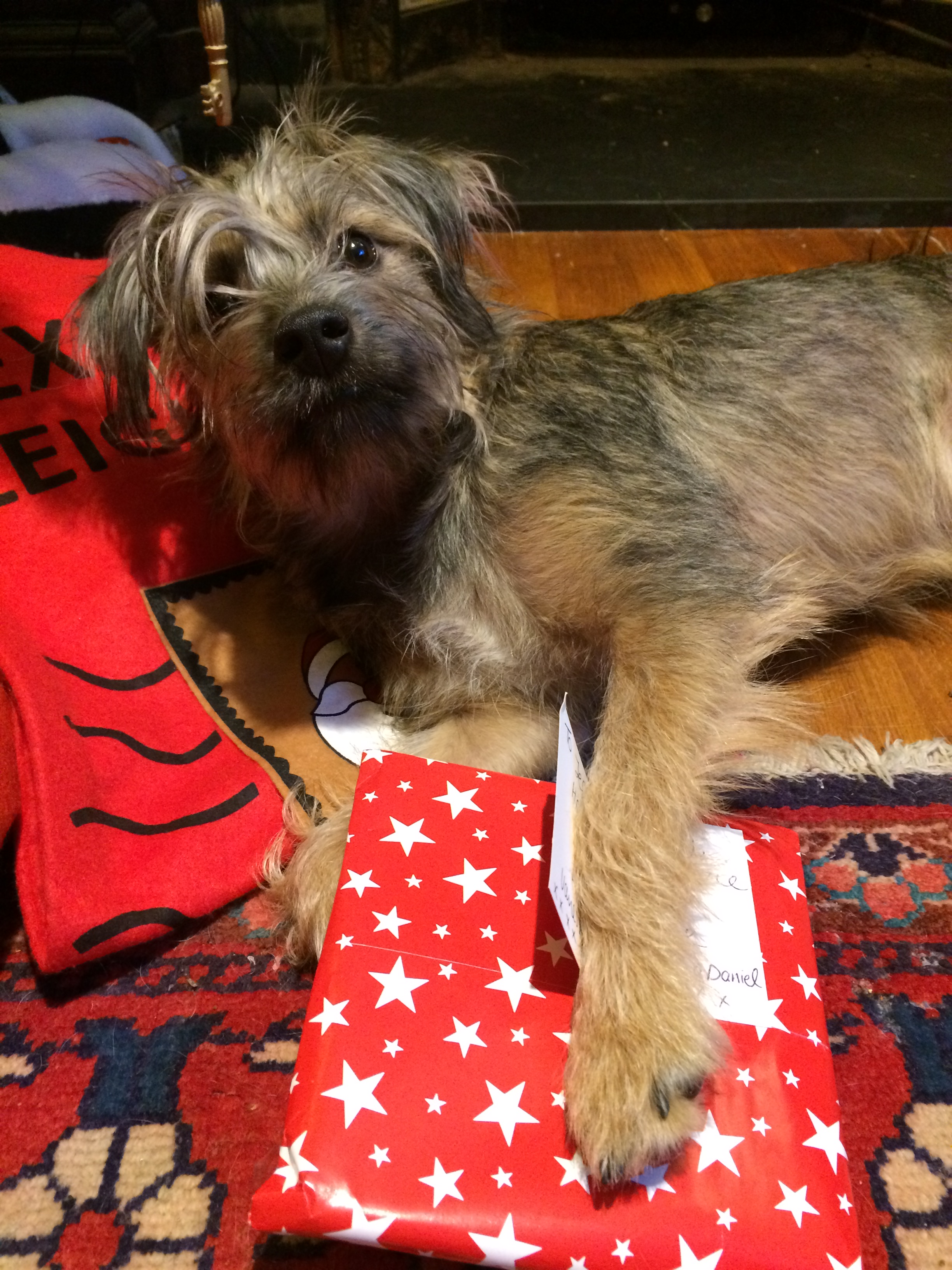 That’s a Wrap! – Be That Dog!